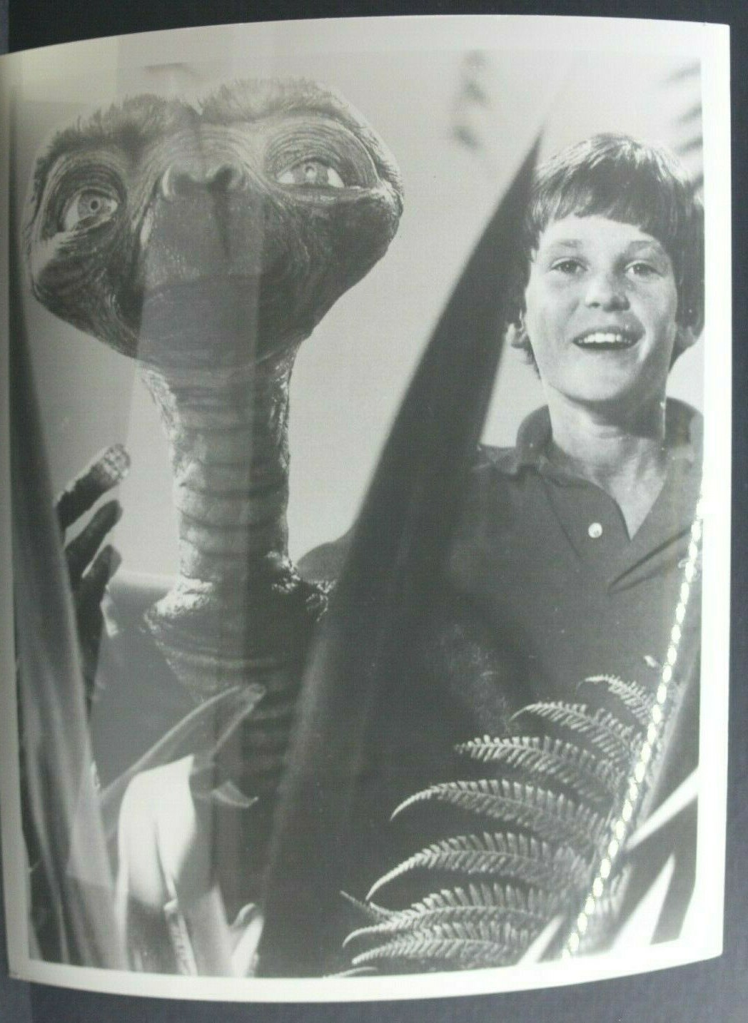 ET glowing finger with Elliot Movie Scene - 8x10" Photo Pre-2012 L1398G ...