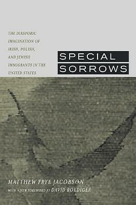 Special Sorrows: The Diasporic Imagination of Irish, Polish, and Jewish ...