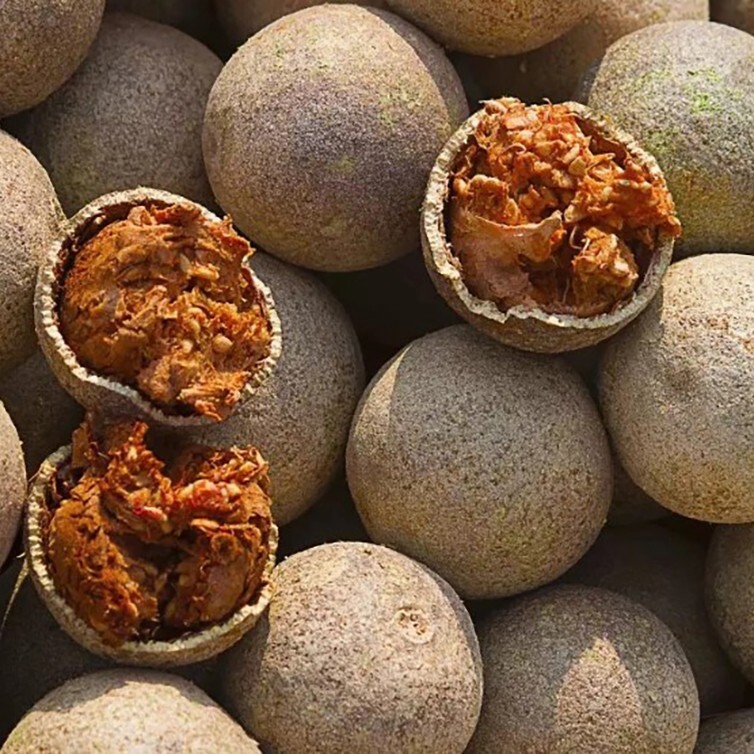 WOOD APPLE POWDER Elephant Natural Ceylon Organic Fruit digestive ...