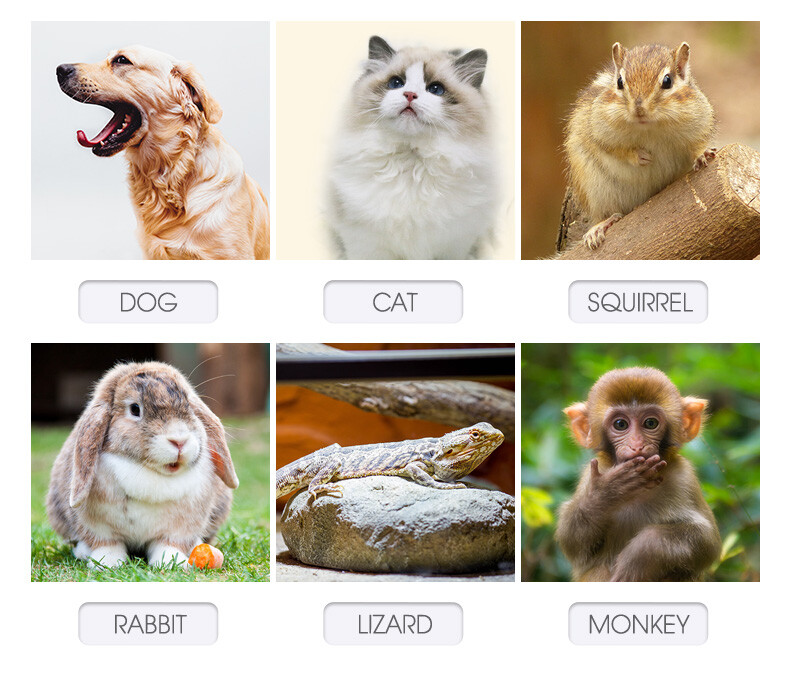 10Pc 1.25mm x 7mm Animal Microchips Dog Cat Mini Chip Pet Microchip ...