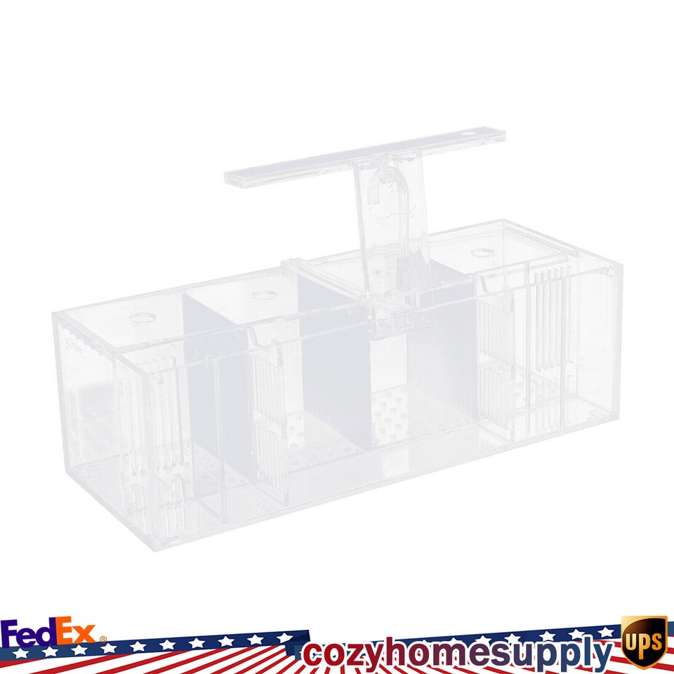 Aquaponic Fish Tank 4-Grid Desktop Fish Tank Rectangle Acrylic Betta ...