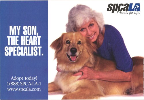 Woman and Her Dog spcaLA Friends for Life Advertising Vintage Postcard ...