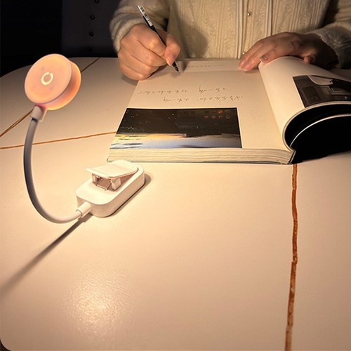 USB Rechargeable LED Book Light - Flexible Clip-On Reading Lamp for ...