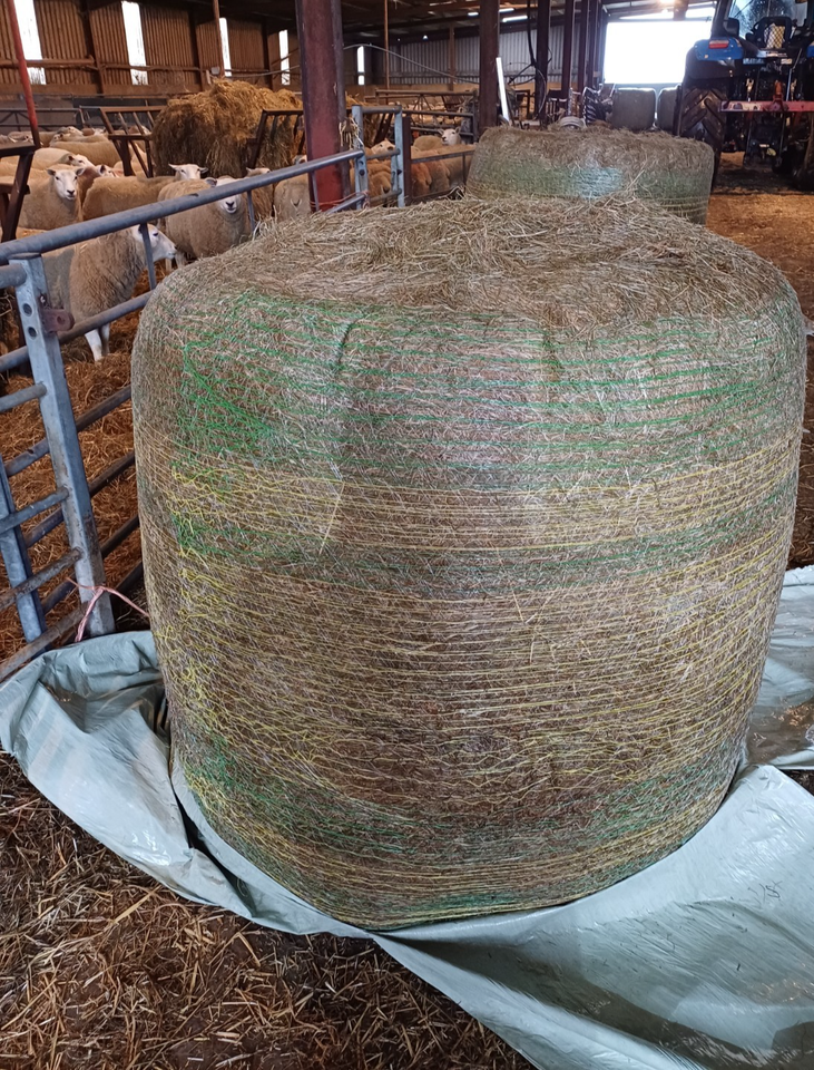 Round Bale Haylage excellent Quality | eBay UK