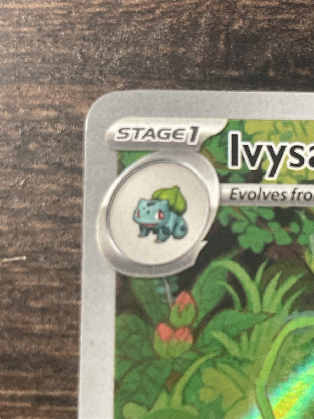 Pokémon TCG Ivysaur Scarlet & Violet - 151 167/165 Holo Illustration ...