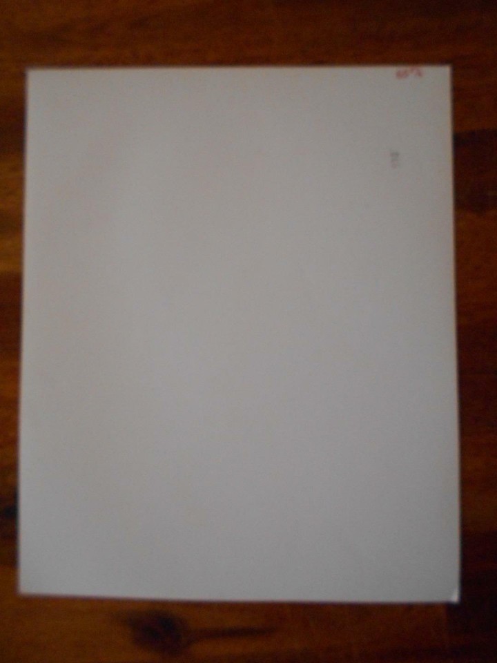 STEVE DAVIS bodybuilding muscle ORIGINAL photo | eBay