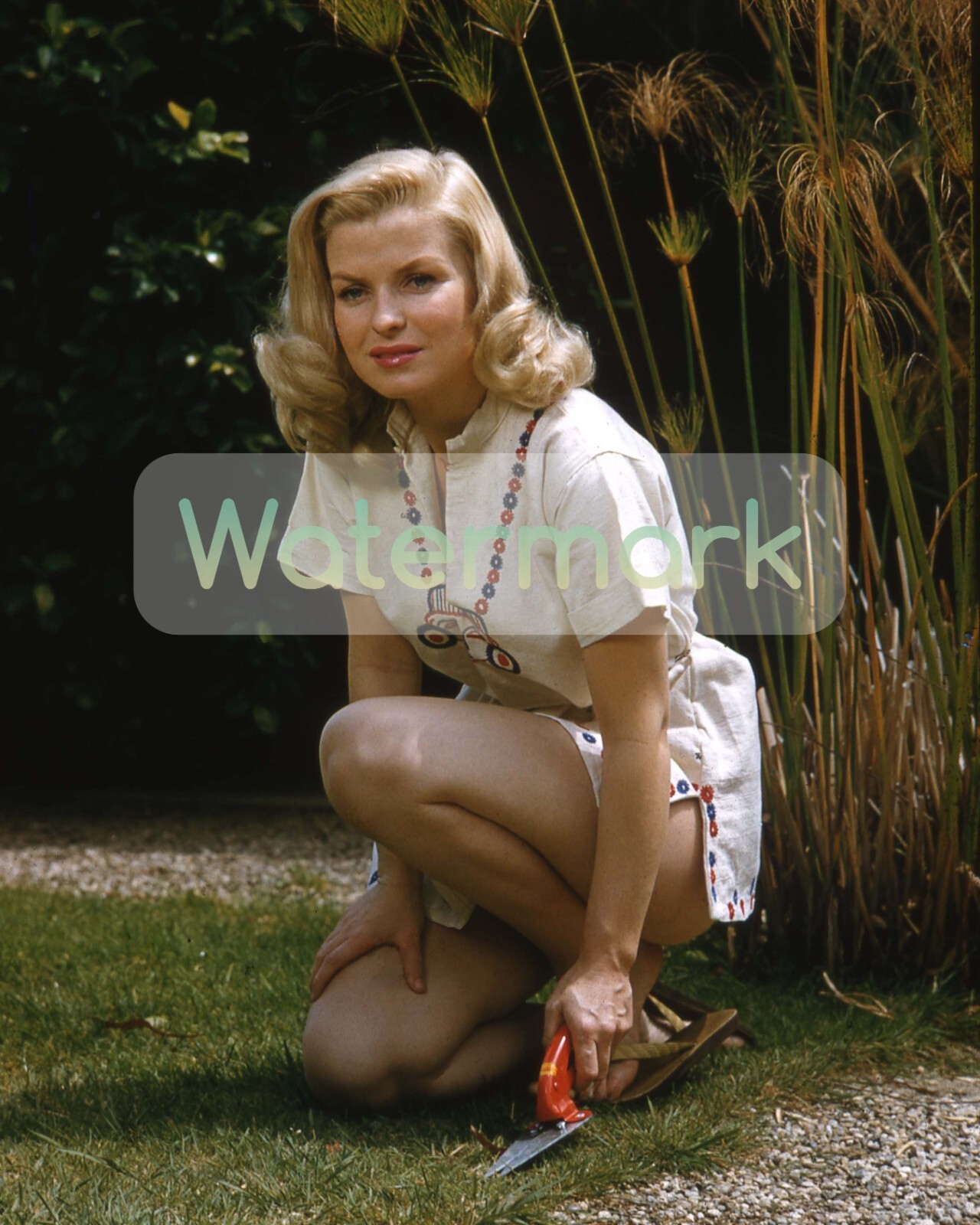 PAT SHEEHAN Playboy PMOM October 1958 ** Pro Pigment Print (8.5"x11") HI-RES | eBay