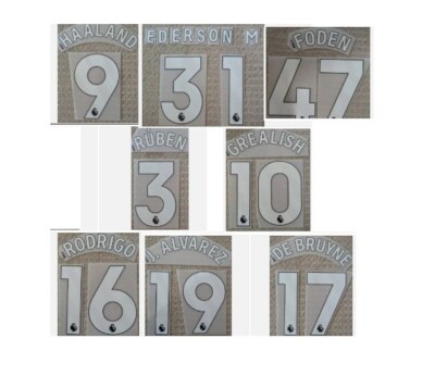 Official White Adult Size name number Set - Manchester City Premier ...