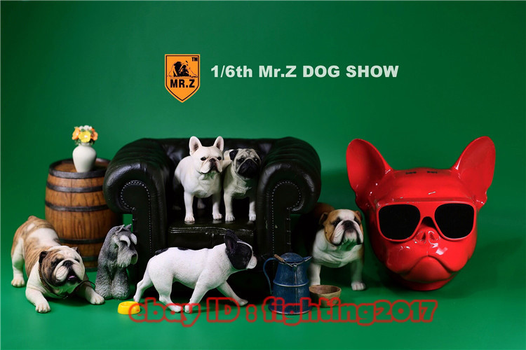 Bouledogue Tgif