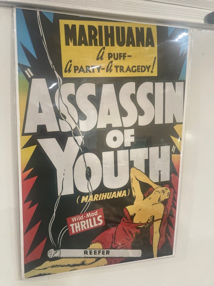 Marijuana Poster Pot Weed Cannisbis 12"x18" Old Hippies | eBay