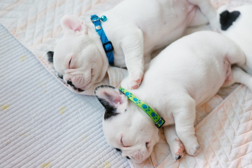 Melatonin relaxation - SLEEP FORMULA - Magnesium deep rest 3 Bottles | eBay