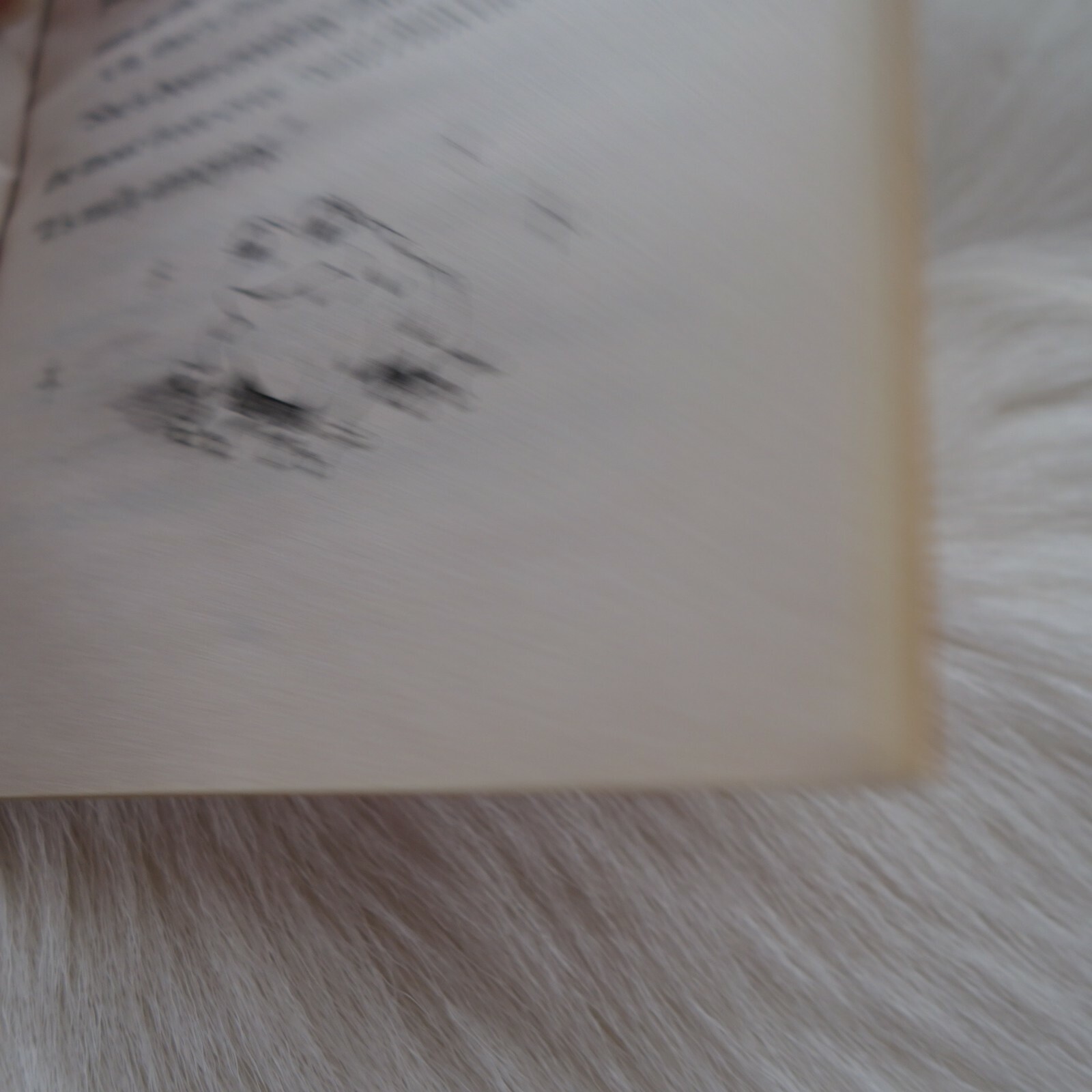 DARCEY BUSSELL The Magic Spell Magic Ballerina 2 Ballerina Book Ballet ...