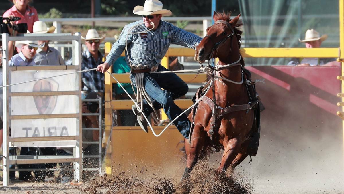 COWBOY PRO RODEO PRINT POSTER BULLS RIDING WRANGLER JEANS AKUBRA RM ...