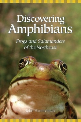 John Himmelman Discovering Amphibians (Tascabile) | eBay