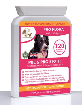 Pre & Probiotic for Dogs & Cats Supplements | 60 | eBay