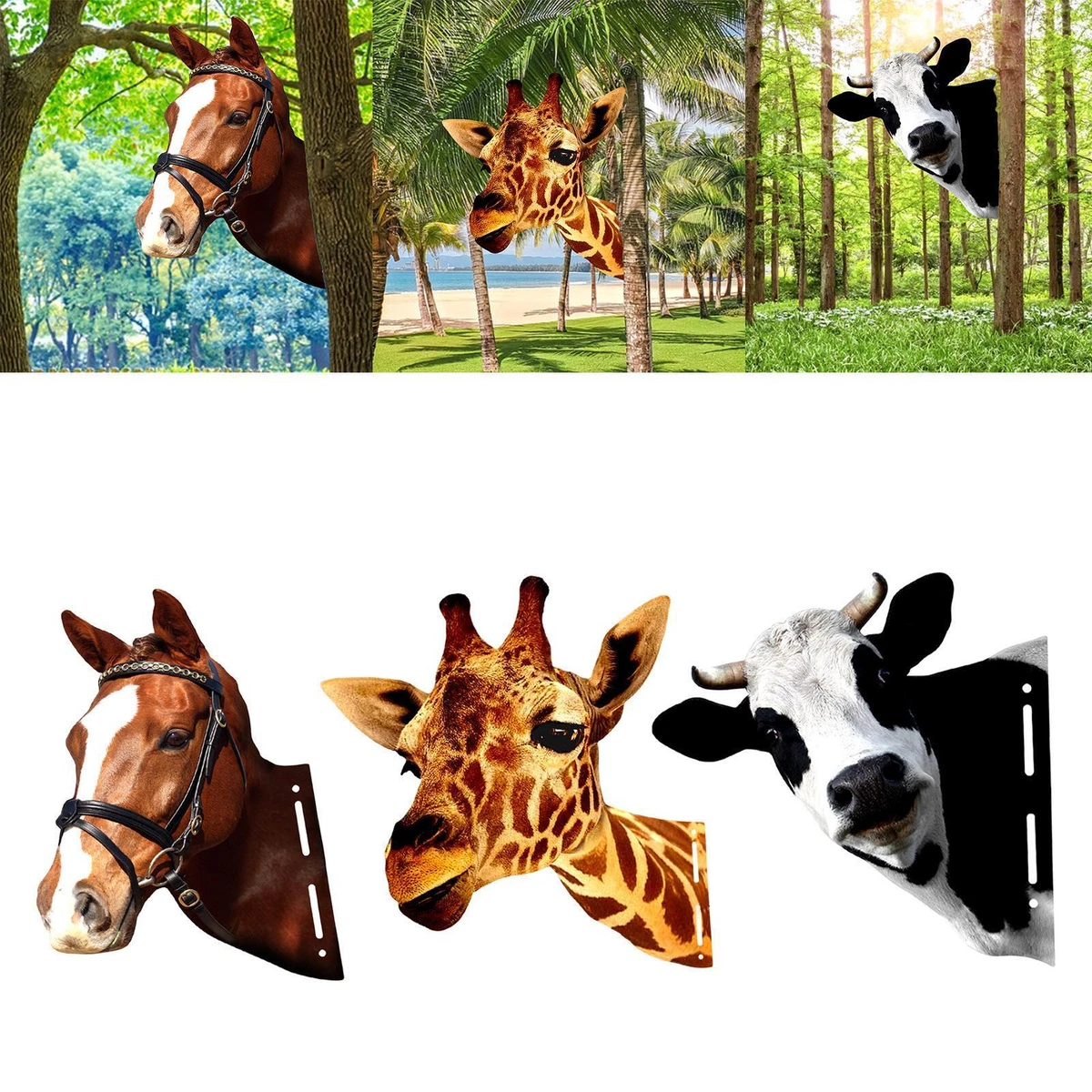 Mounted Animal Heads Art