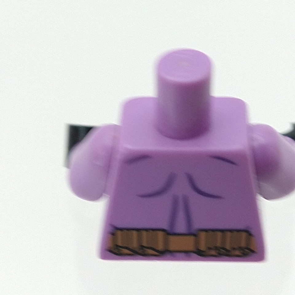 LEGO - Batman Logo Upside Down - Purple Torso w/ Muscles & Gold Belt ...