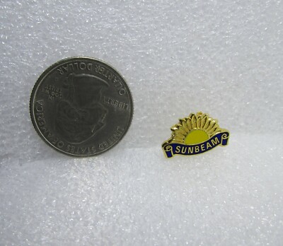 Sunbeam Pin | eBay
