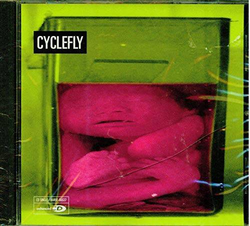 Cyclefly - Audio CD By Cyclefly - VERY GOOD 8815553728| eBay