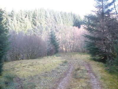 Photo 12x8 End of the forest track in Salachan Glen Duror c2011 | eBay UK