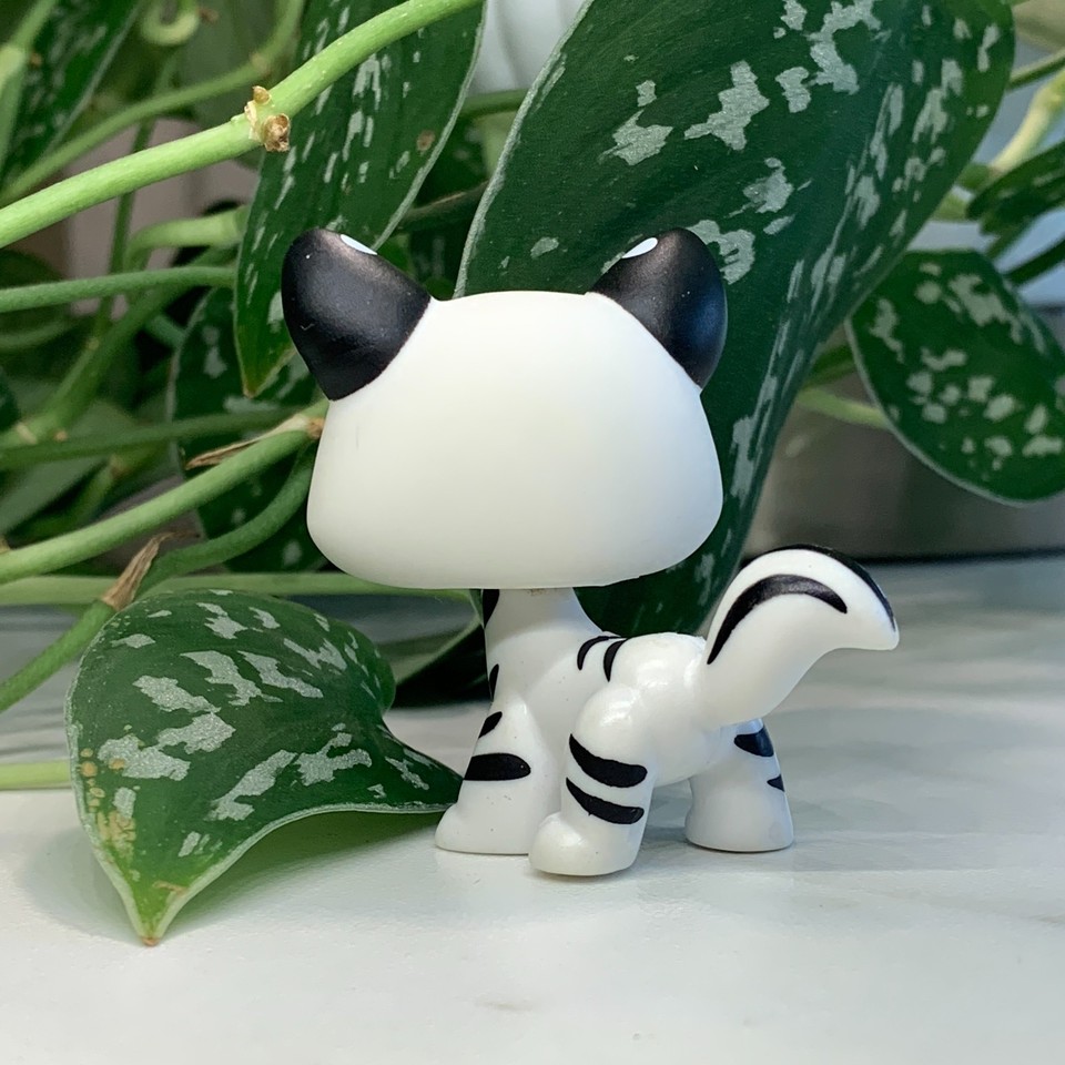 Littlest pet Shot Authentic LPS destiny cat 1498 | eBay