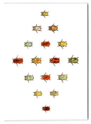 Postcard - Art of Christopher Marley - Biophilia - Chrysina Diamond | eBay