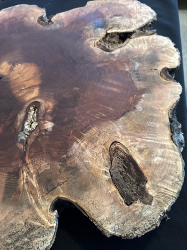 Maple Burl, Table Top, Sanded, 24” Long, 23” Wide, 2” Thick, Dry | eBay