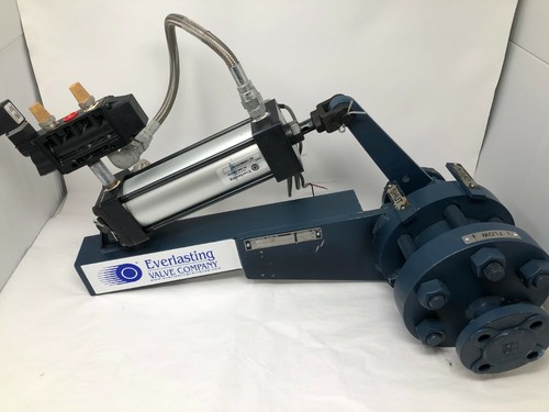 Everlasting Valve Fig. DD151C1NA Size:1 150Lb. Process Valve, Cylinder ...