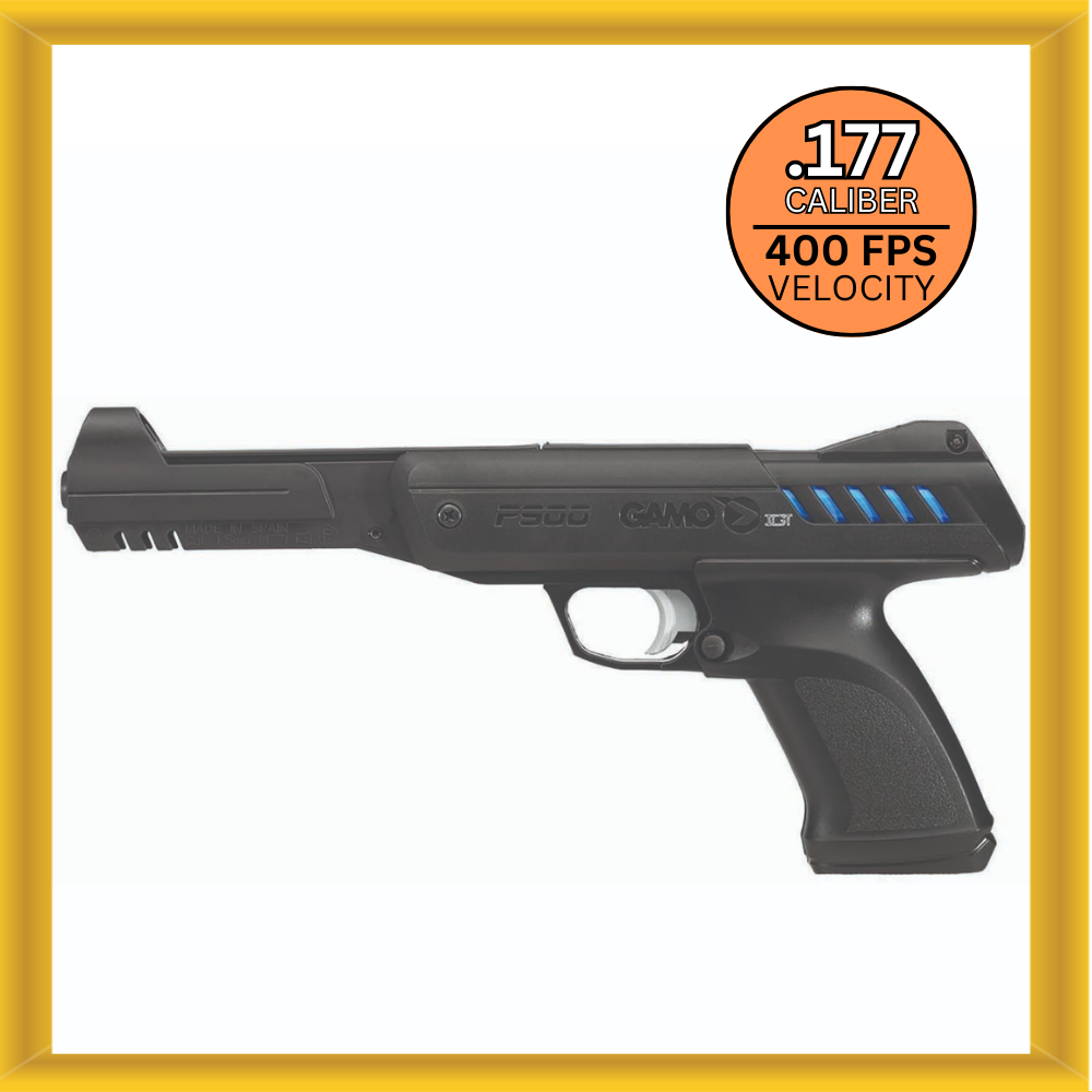Gamo P-900 .177 Caliber 400 FPS Velocity Break Barrel Single Shot ...