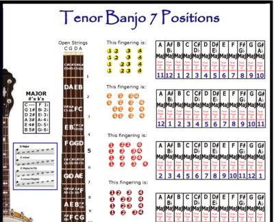 TENOR BANJO 7 HAND POSITIONS SMALL CHART | eBay Australia