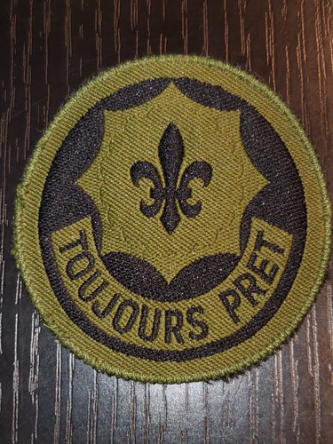 Vietnam Era US Army German Made 2nd ACR Armored Cavalry Regiment Patch ...