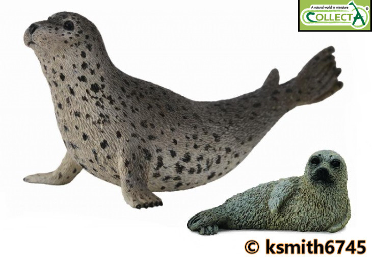 Seal Arctic Animal Baby Seal In The Arctic | Animal Decor" Art Board