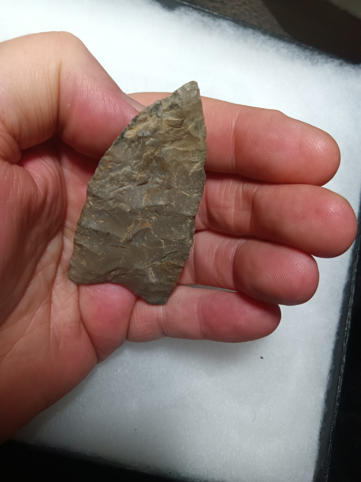 Authentic Kentucky Paleo Fluted Quad Indian Arrowhead Artifact Coa | eBay