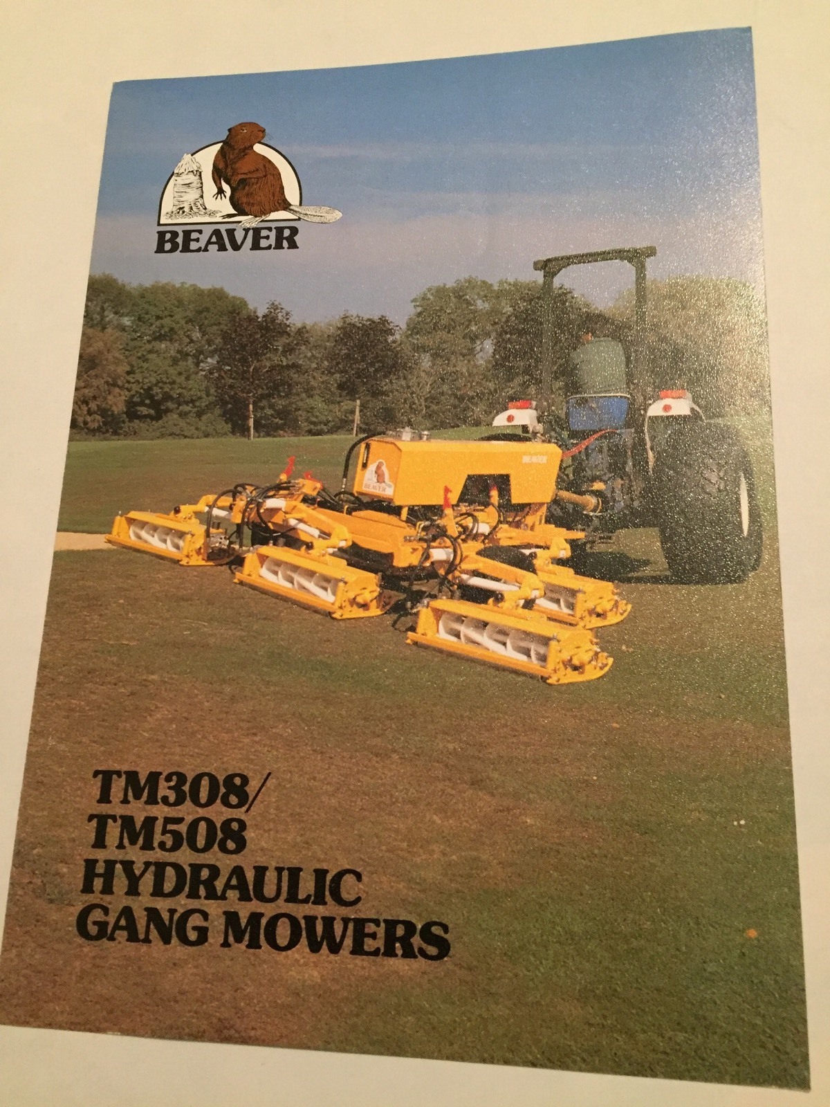 HAYTER Beaver TM308 TM508 Hydraulic Gang Mowers Original 1970s Brochure ...