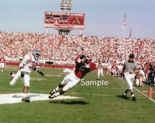 David Palmer Alabama 8x10 Football Photo DP1 | eBay