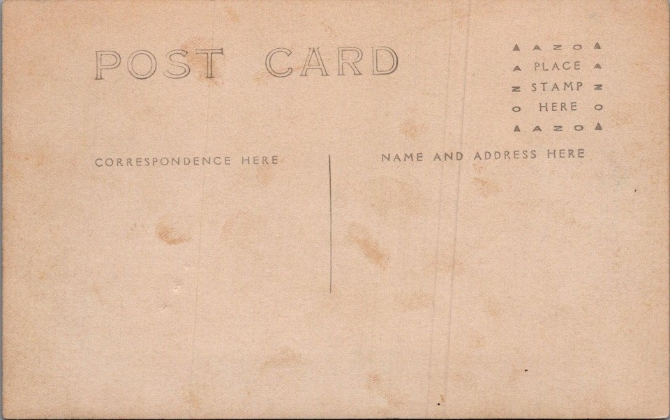 FARMING, Man Holding a Baby PIG Real Photo Postcard | eBay