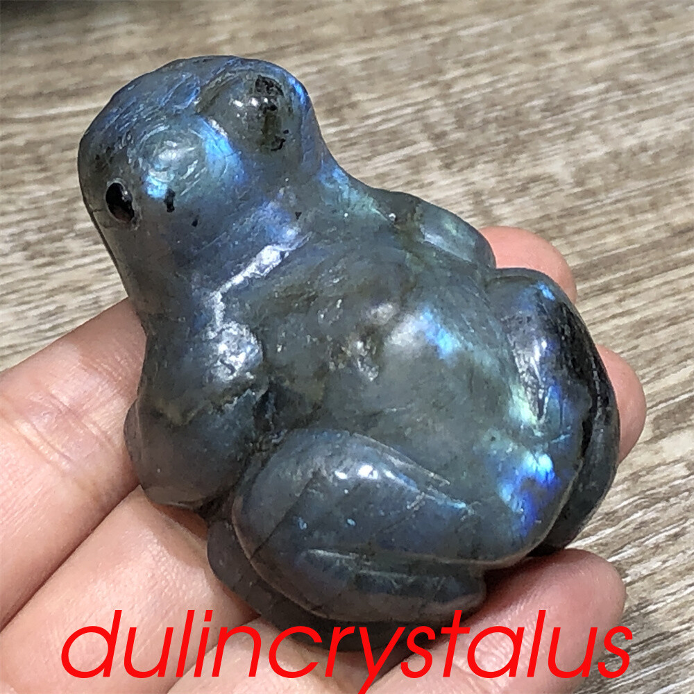 1pc Natural Labradorite Frog Skull Quartz crystal Skull Carved Gem ...