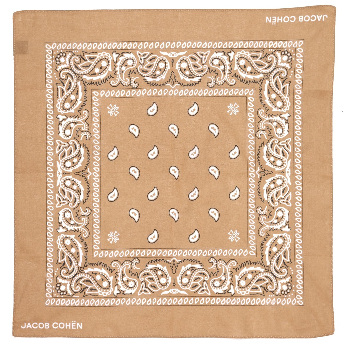 Paisley Bandana Print Shop Generic 2x Novelty Cotton Paisley Print