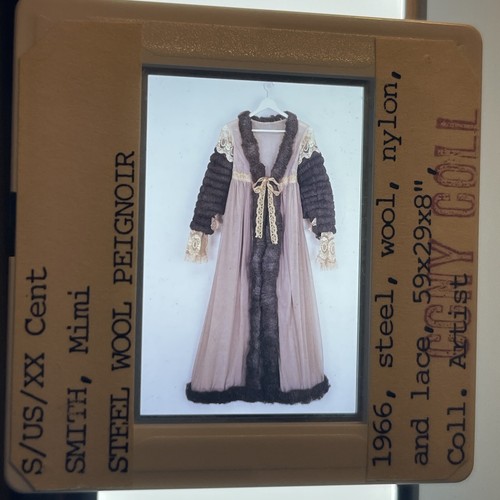 Mimi Smith “Steel Wool Peignoir” American Feminist Art 35mm Slide | eBay