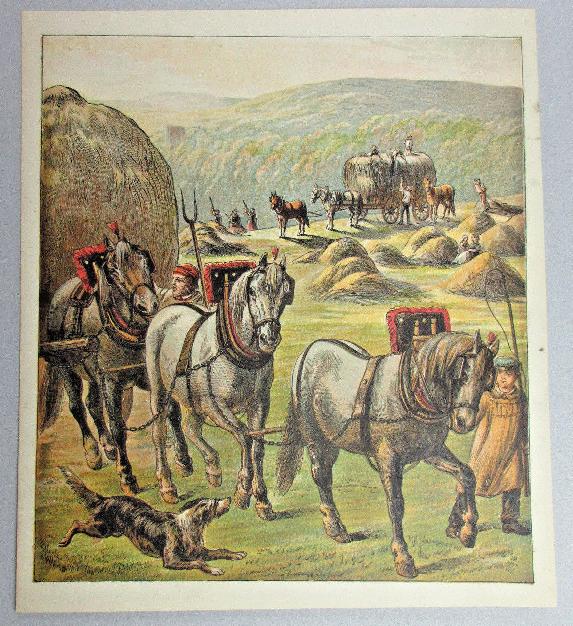 DRAFT HORSES PULLING HAY WAGONS COLLIE DOG ANTIQUE ART PRINT LITHOGRAPH ...