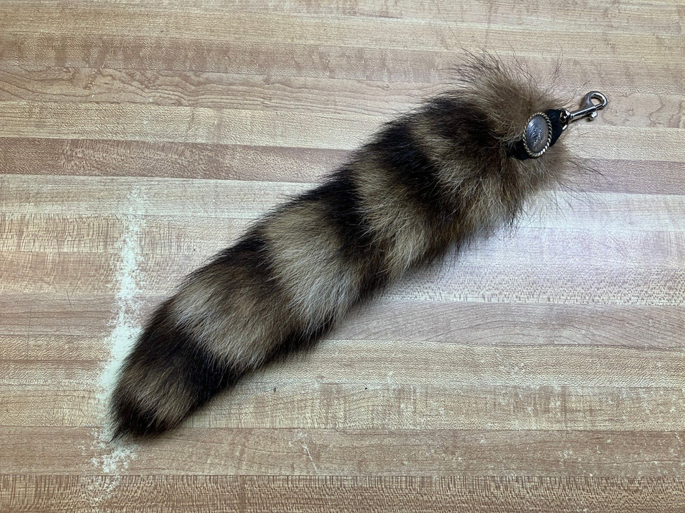 Tanned Raccoon Tail Key Chain With Clip Trapping Fur Coats | eBay