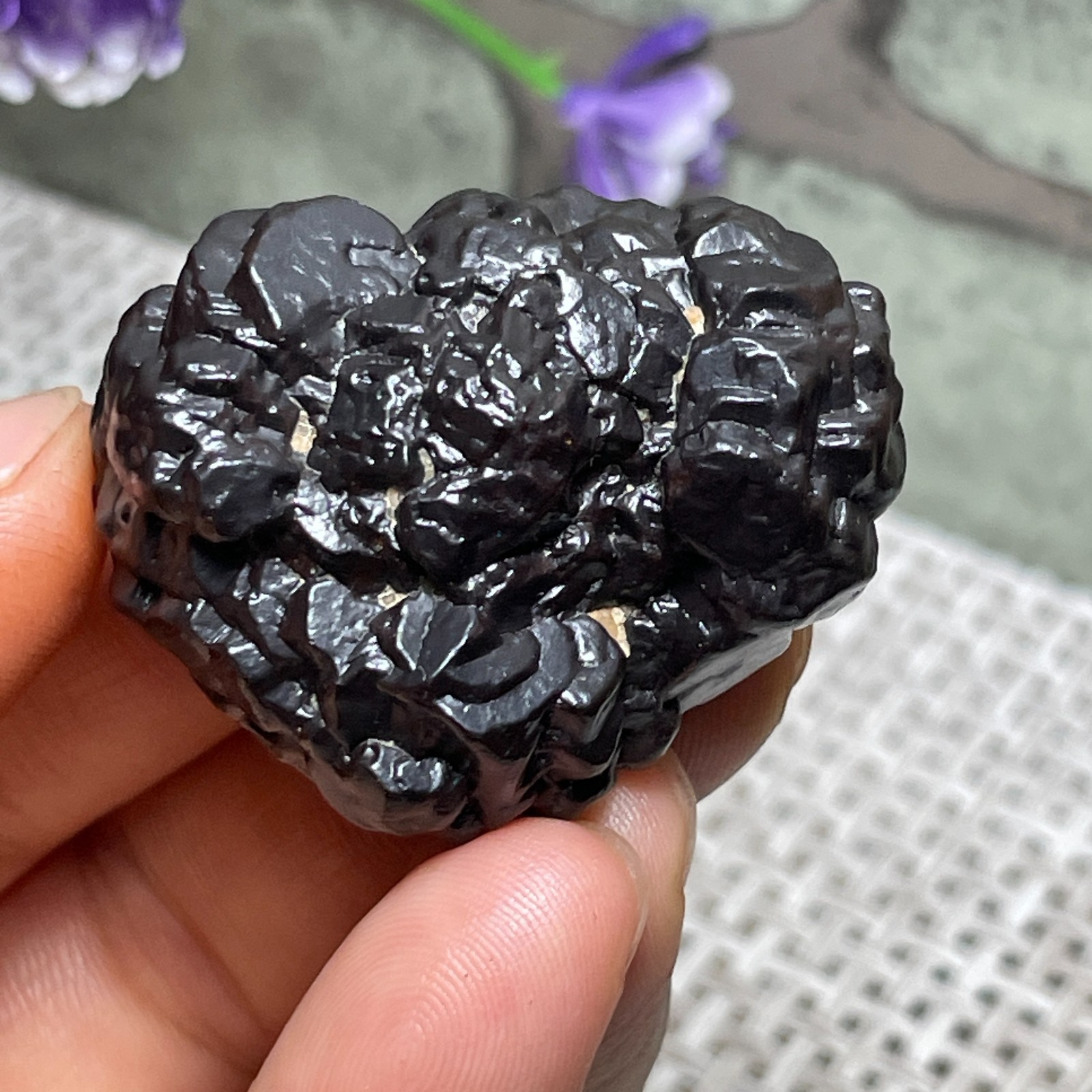 43g Limonite & Hematite pseudomorph after Marcasite Prophecy Stone AP40 | eBay