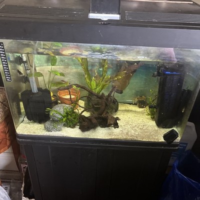 Fish Tank | eBay UK