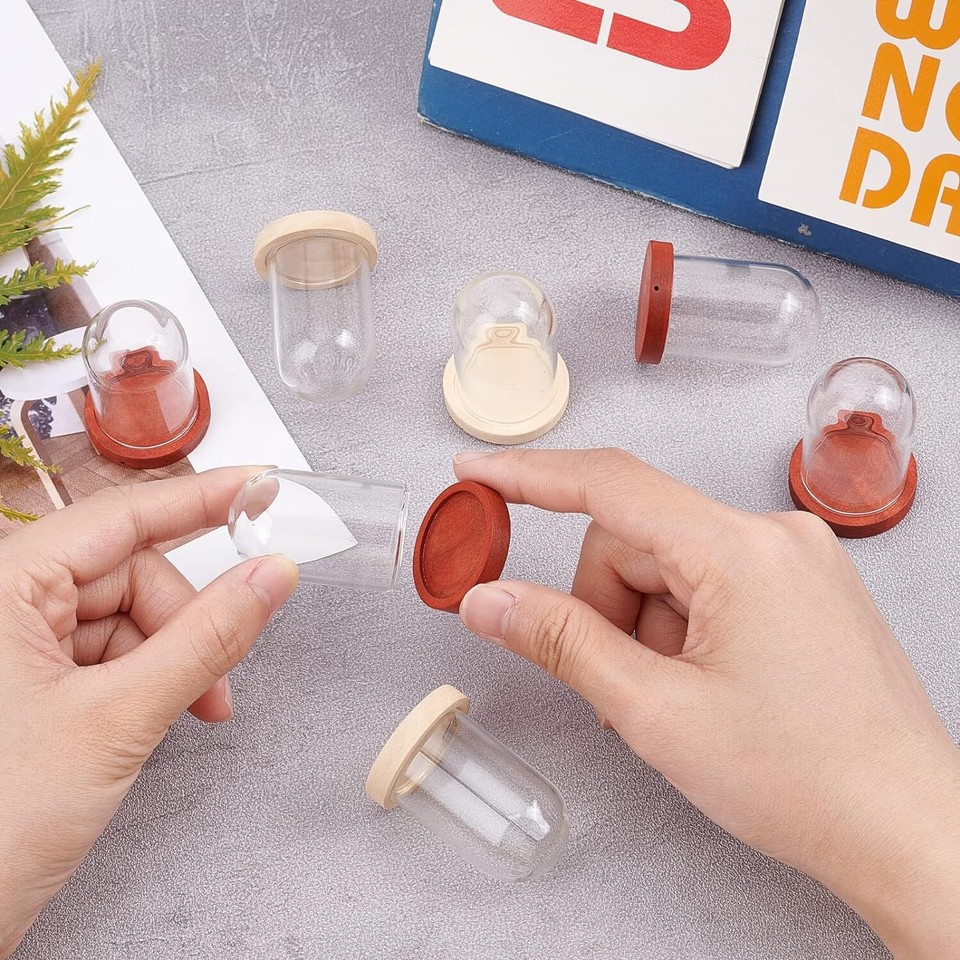 NBEADS 10 Sets Mini Eternal Flower Glass Dome Cloche, Clear Display... | eBay