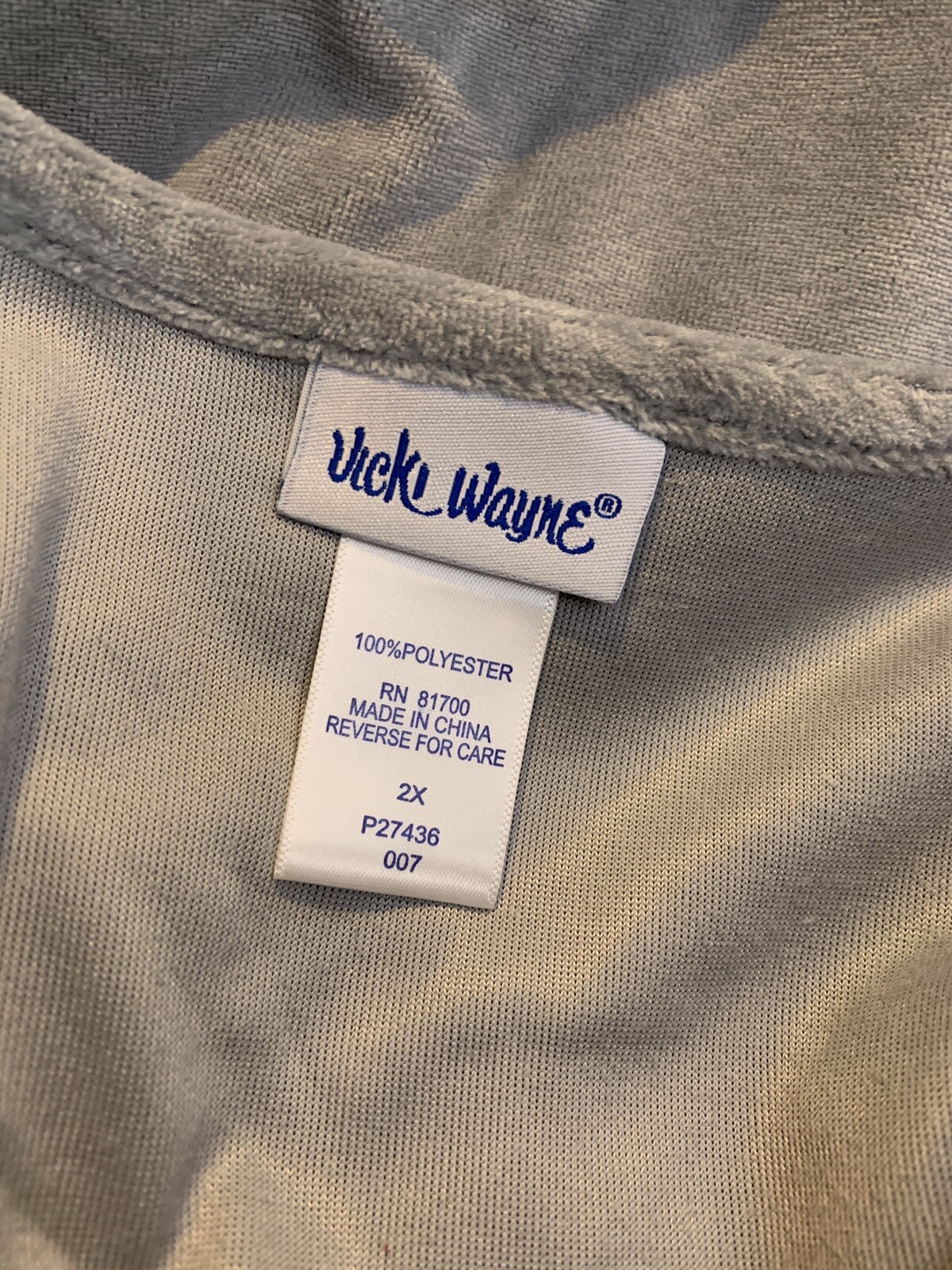 NWT VICKI WAYNE Sz 2X Silver Plush Velour A-Line Dress Princess Seaming 50"Bust | eBay