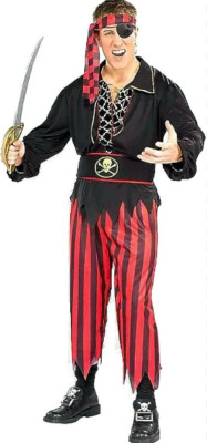 Pirate Matey Adult Halloween Costume | eBay