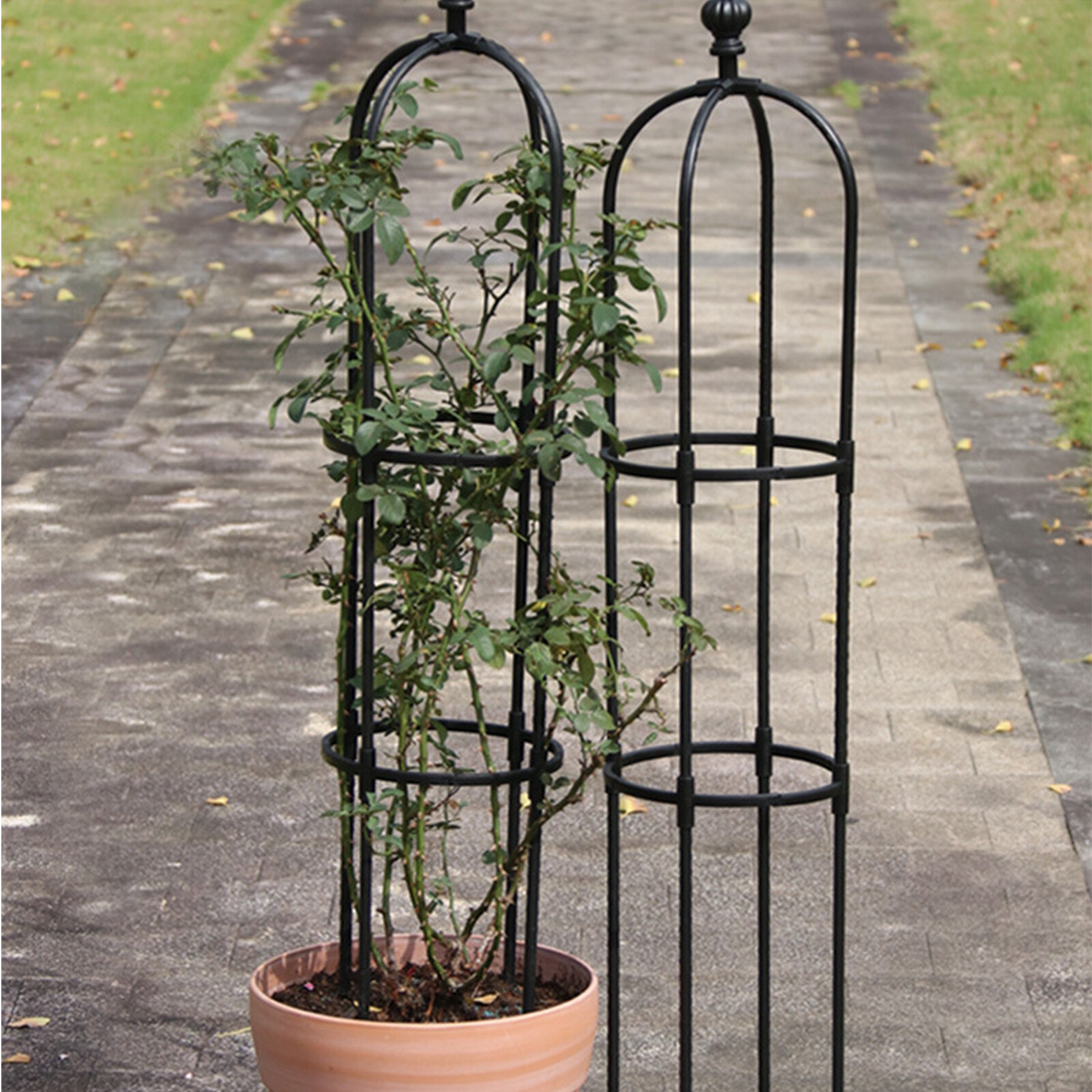 180cm Garden Plants Support Metal Obelisk Trellis Climb Frame Rose Vine ...