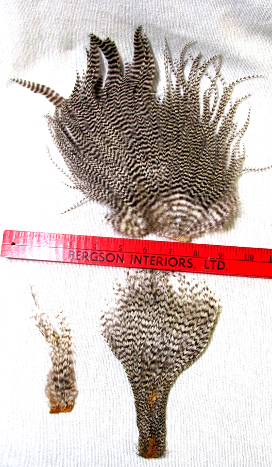 Grizzly? Dry Fly Hackle? Neck Cape? Rooster Fishing Feathers Trout ...