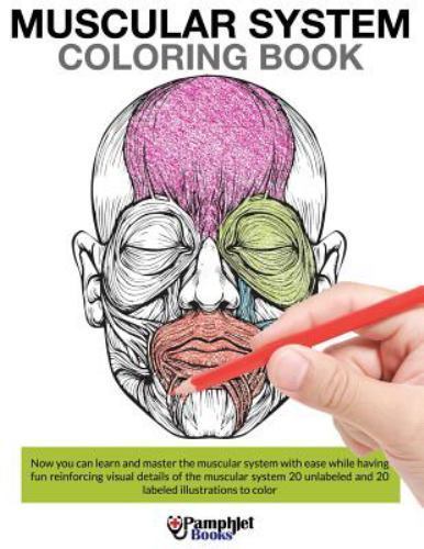 Muscular System Coloring Book by Pamphlet Books (2016, Trade Paperback ...