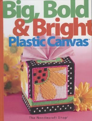 Big, Bold and Bright Plastic Canvas by Lisa Fosnaugh (2006, Hardcover) for sale online | eBay UK